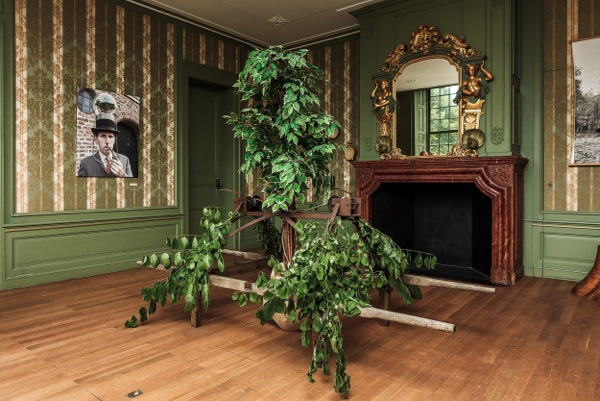 De ideale wereld van Sander Rood | Nathalie Faber